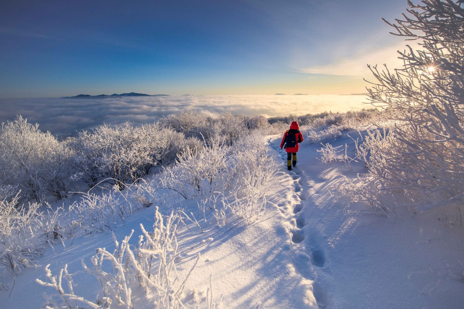 Taebaeksan National Park | KoreaTravel Guru